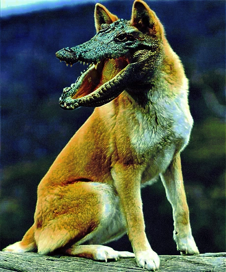 Crocodingo: Chilling History Behind Tennessee’s Legendary Hybrid
